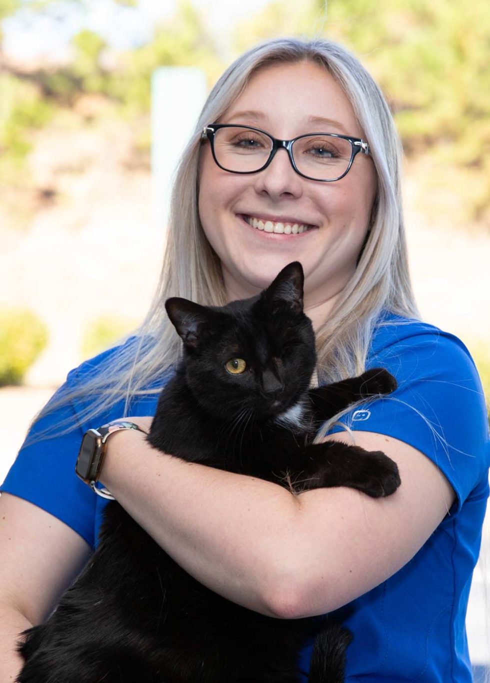 Veterinarian In Seneca, SC 29678 | Seneca Animal Hospital