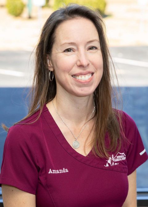 Veterinarian In Seneca, SC 29678 | Seneca Animal Hospital