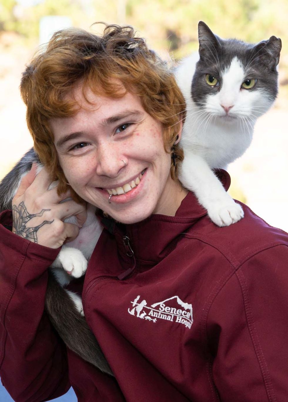 Veterinarian In Seneca, SC 29678 | Seneca Animal Hospital