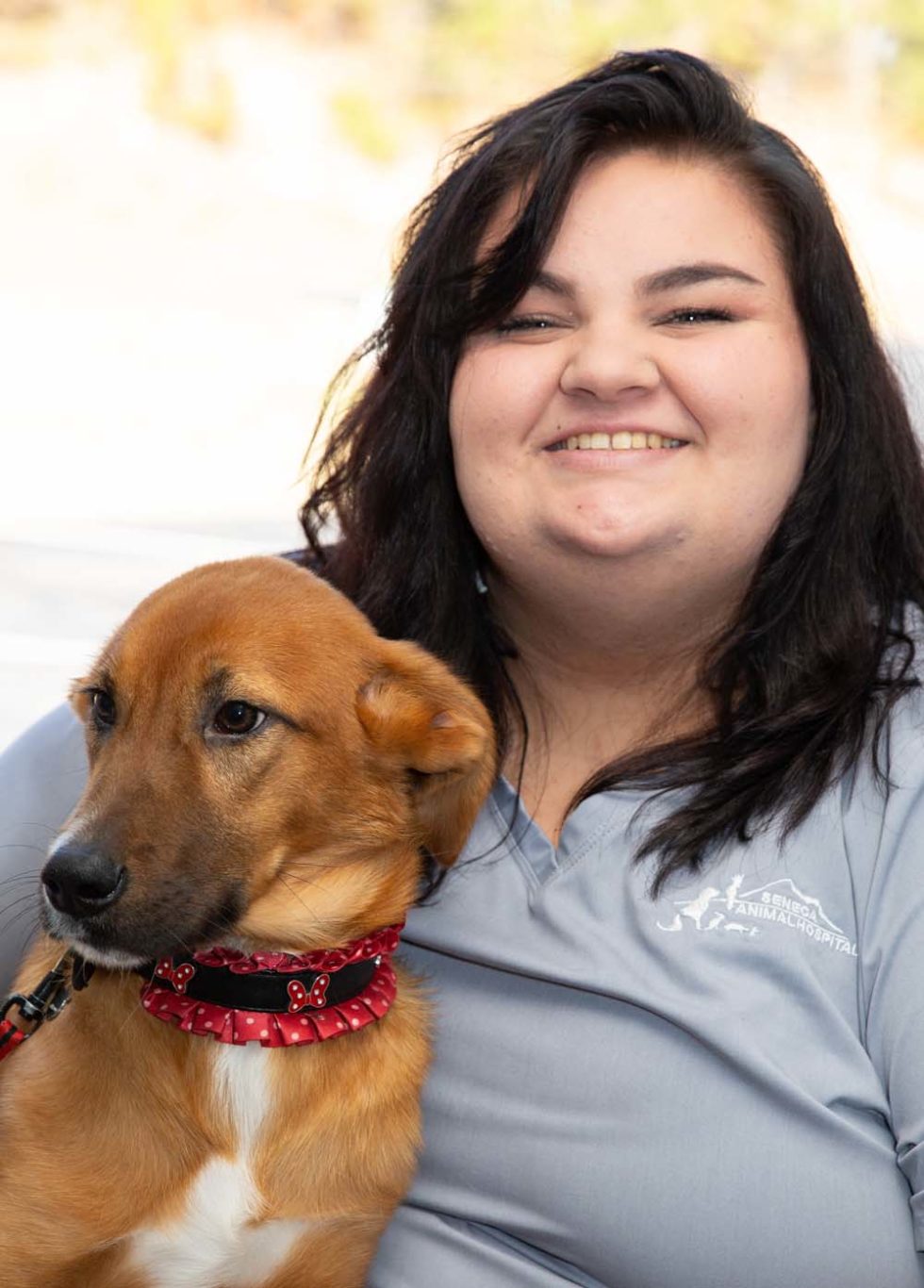 Veterinarian In Seneca, SC 29678 | Seneca Animal Hospital