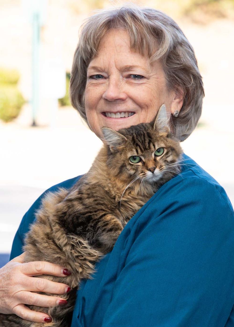 Veterinarian In Seneca, SC 29678 | Seneca Animal Hospital