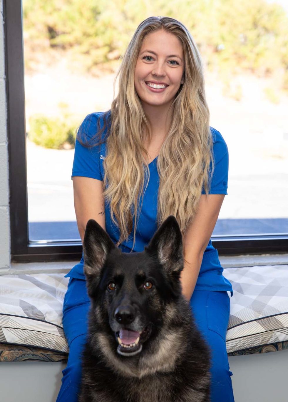 Veterinarian In Seneca, SC 29678 | Seneca Animal Hospital