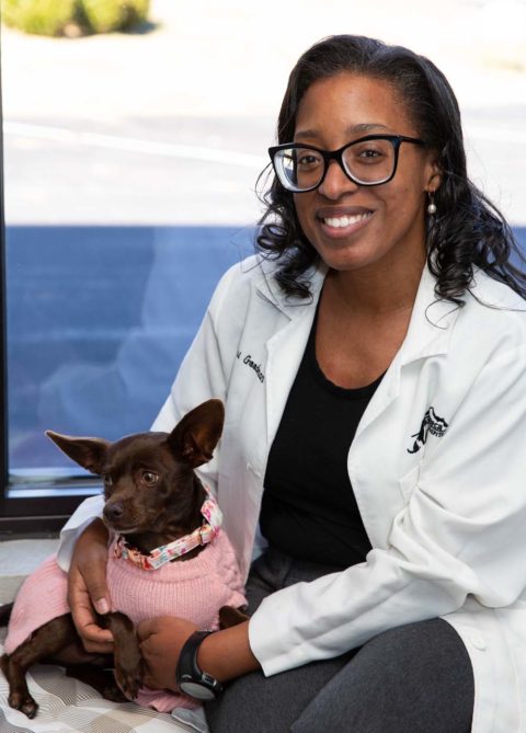 Veterinarian In Seneca, SC 29678 | Seneca Animal Hospital