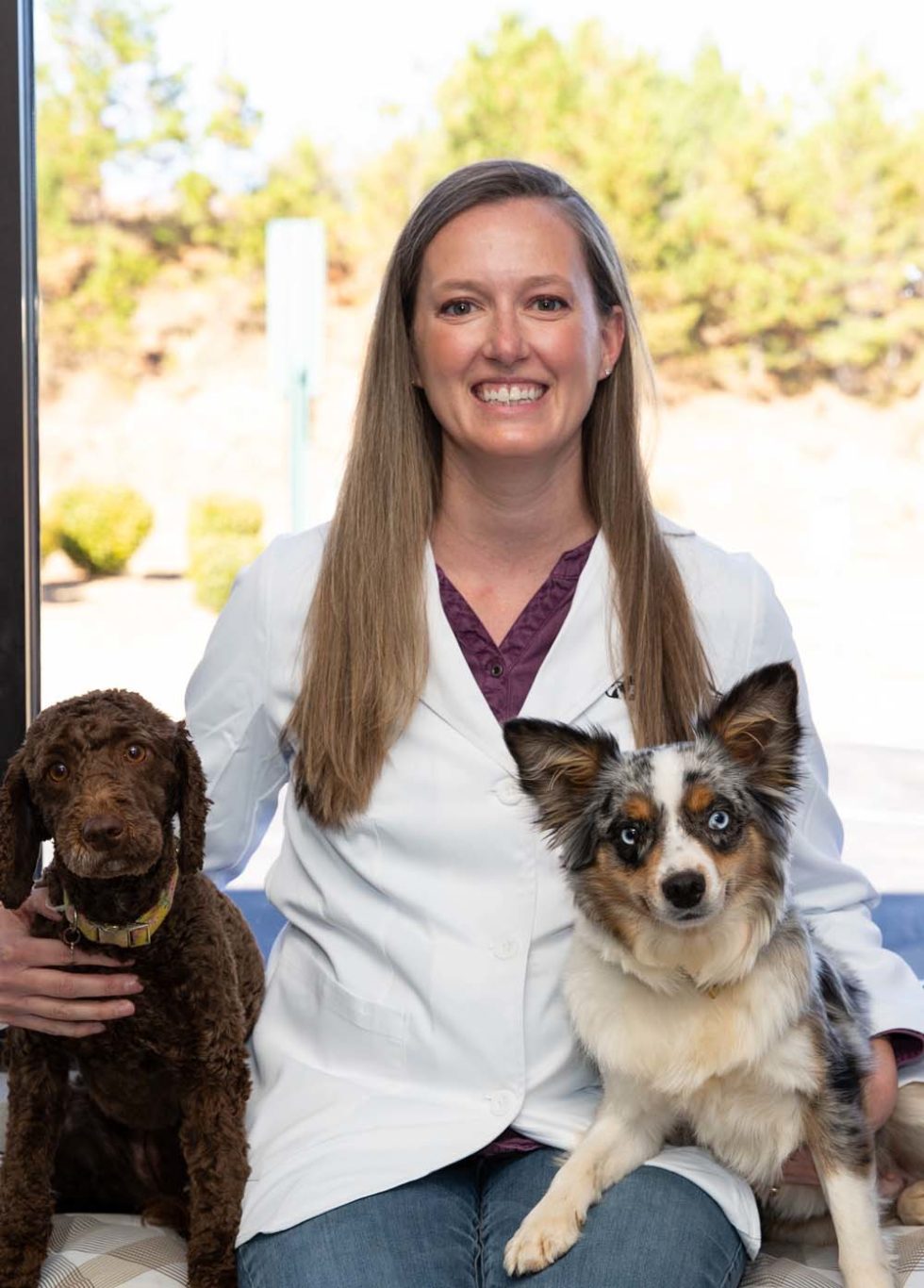 Veterinarian In Seneca, SC 29678 | Seneca Animal Hospital