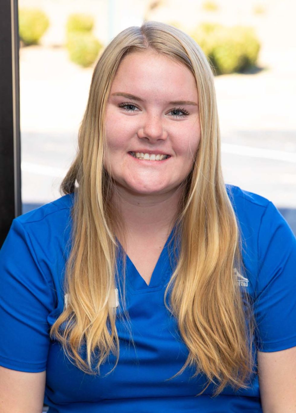 Veterinarian In Seneca, SC 29678 | Seneca Animal Hospital