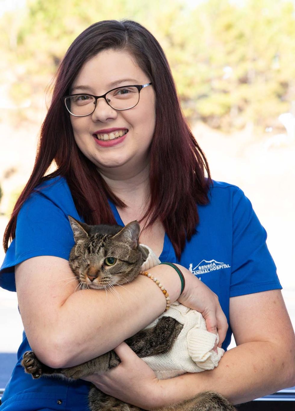 Veterinarian In Seneca, SC 29678 | Seneca Animal Hospital