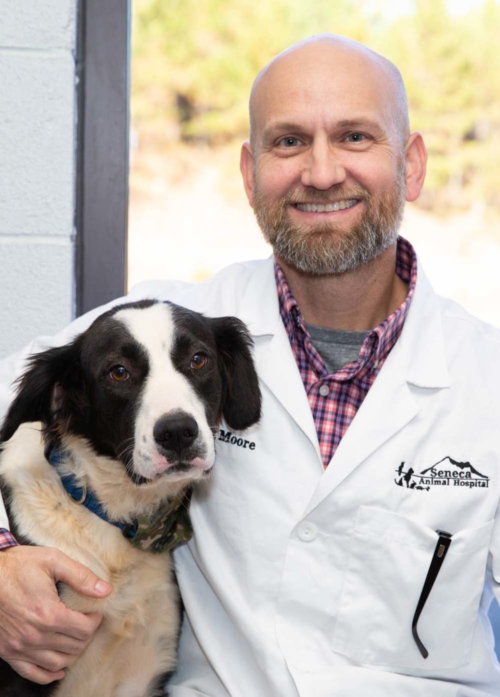 Veterinarian In Seneca, SC 29678 | Seneca Animal Hospital