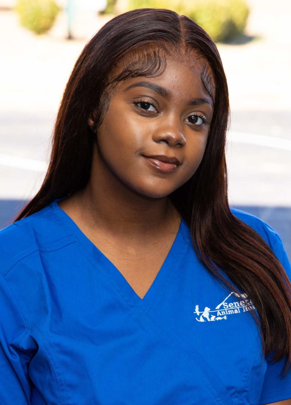 Veterinarian In Seneca, SC 29678 | Seneca Animal Hospital