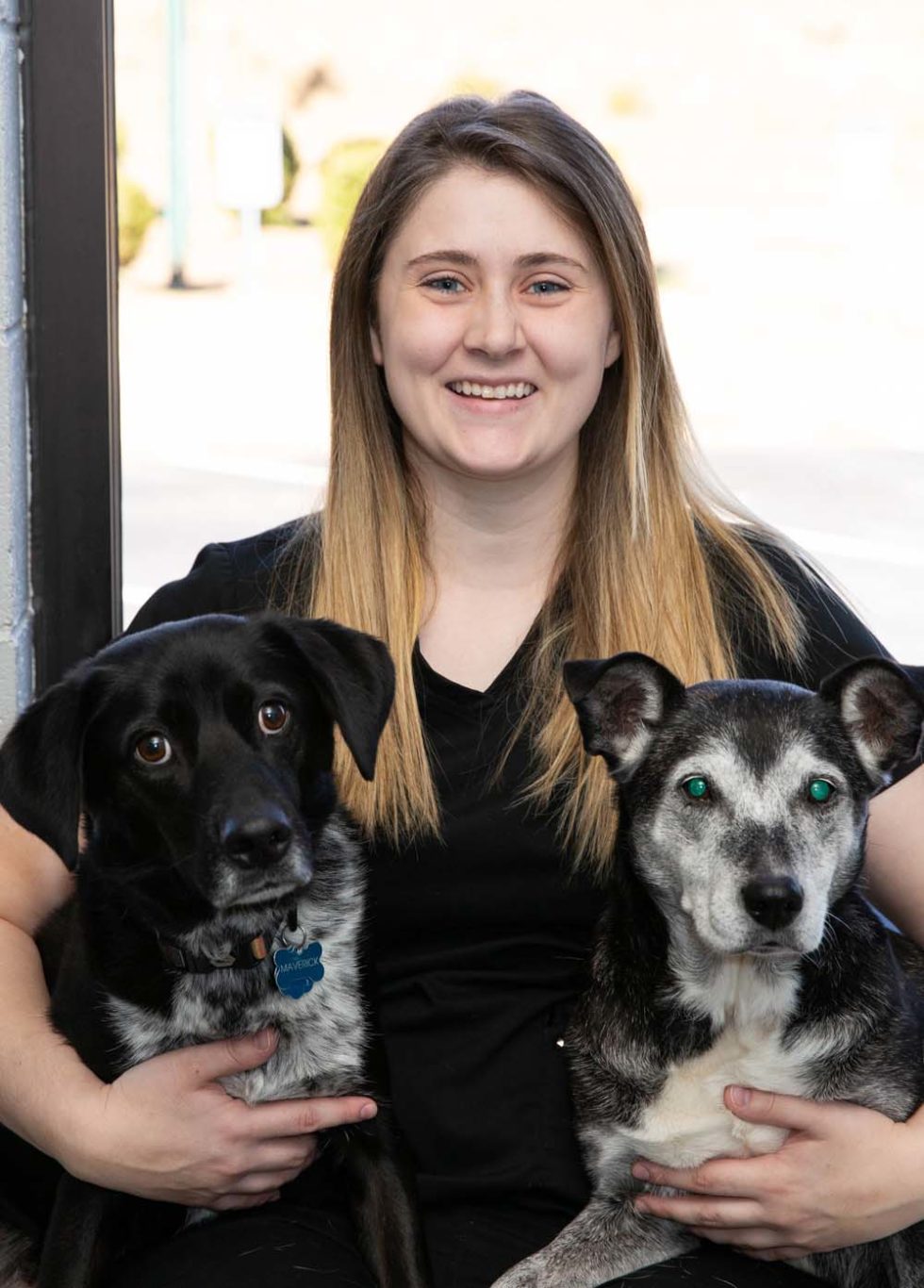 Veterinarian In Seneca, SC 29678 | Seneca Animal Hospital