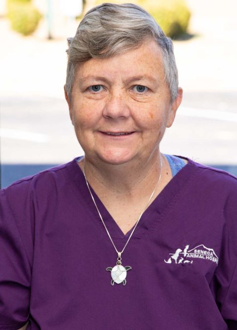 Veterinarian In Seneca, SC 29678 | Seneca Animal Hospital