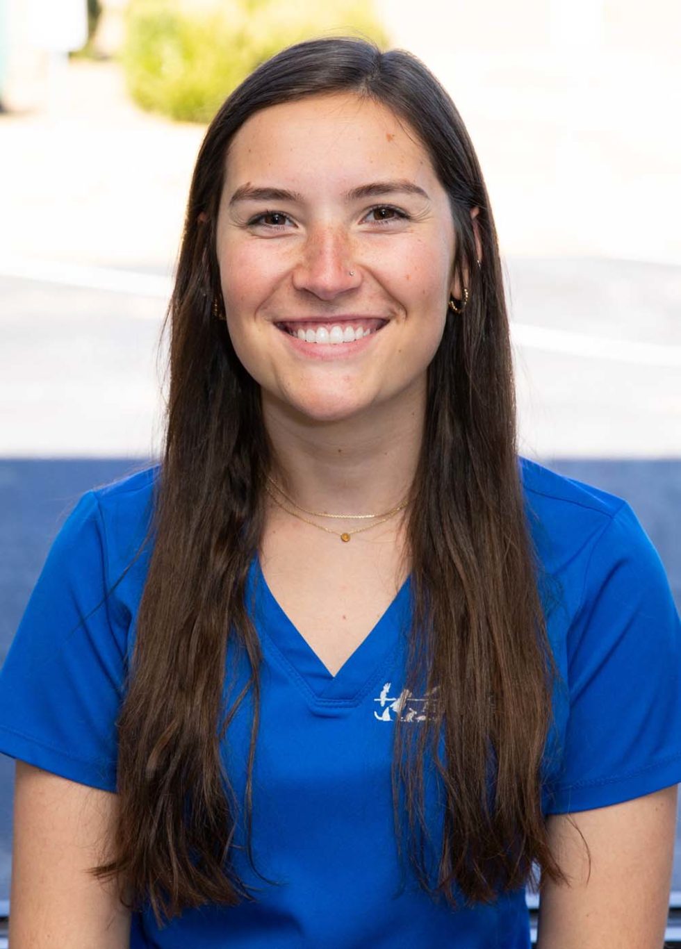 Veterinarian In Seneca, SC 29678 | Seneca Animal Hospital