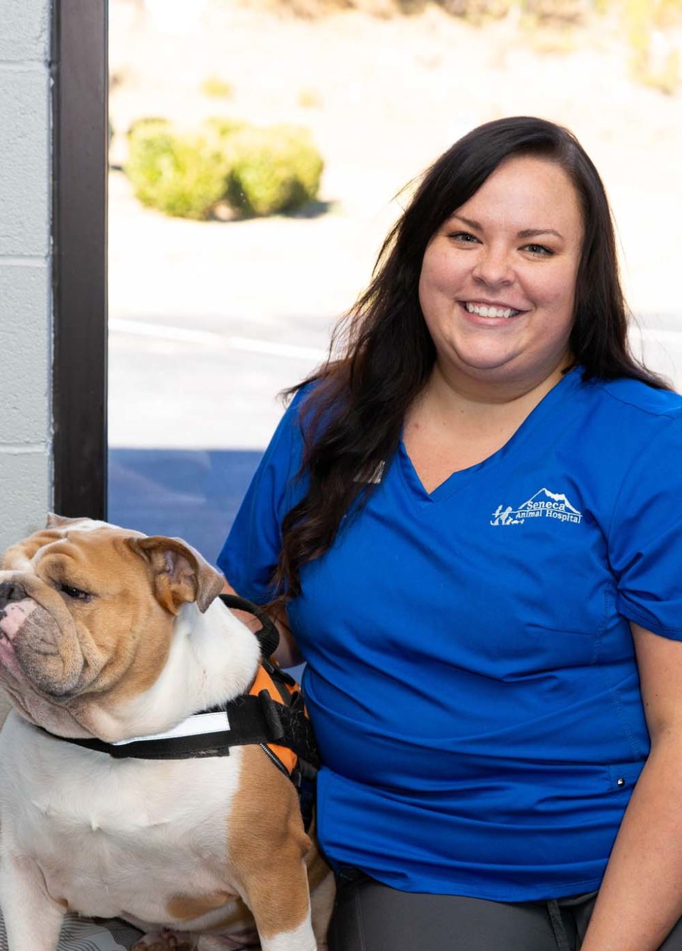 Veterinarian In Seneca, SC 29678 | Seneca Animal Hospital