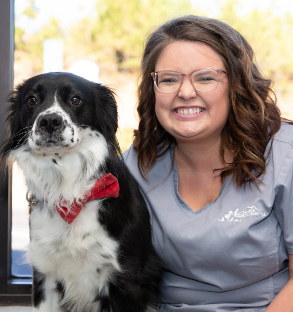Veterinarian In Seneca, SC 29678 | Seneca Animal Hospital