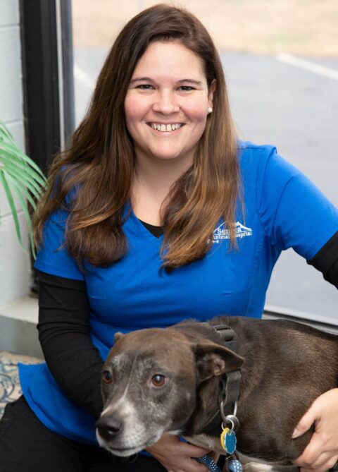 Veterinarian In Seneca, SC 29678 | Seneca Animal Hospital