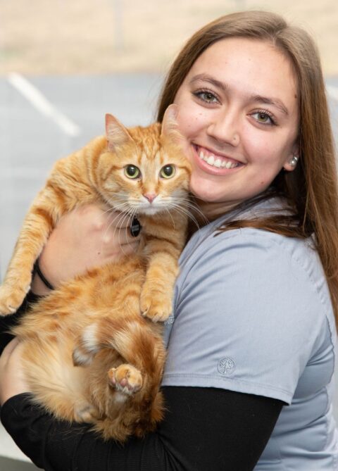 Veterinarian In Seneca, SC 29678 | Seneca Animal Hospital