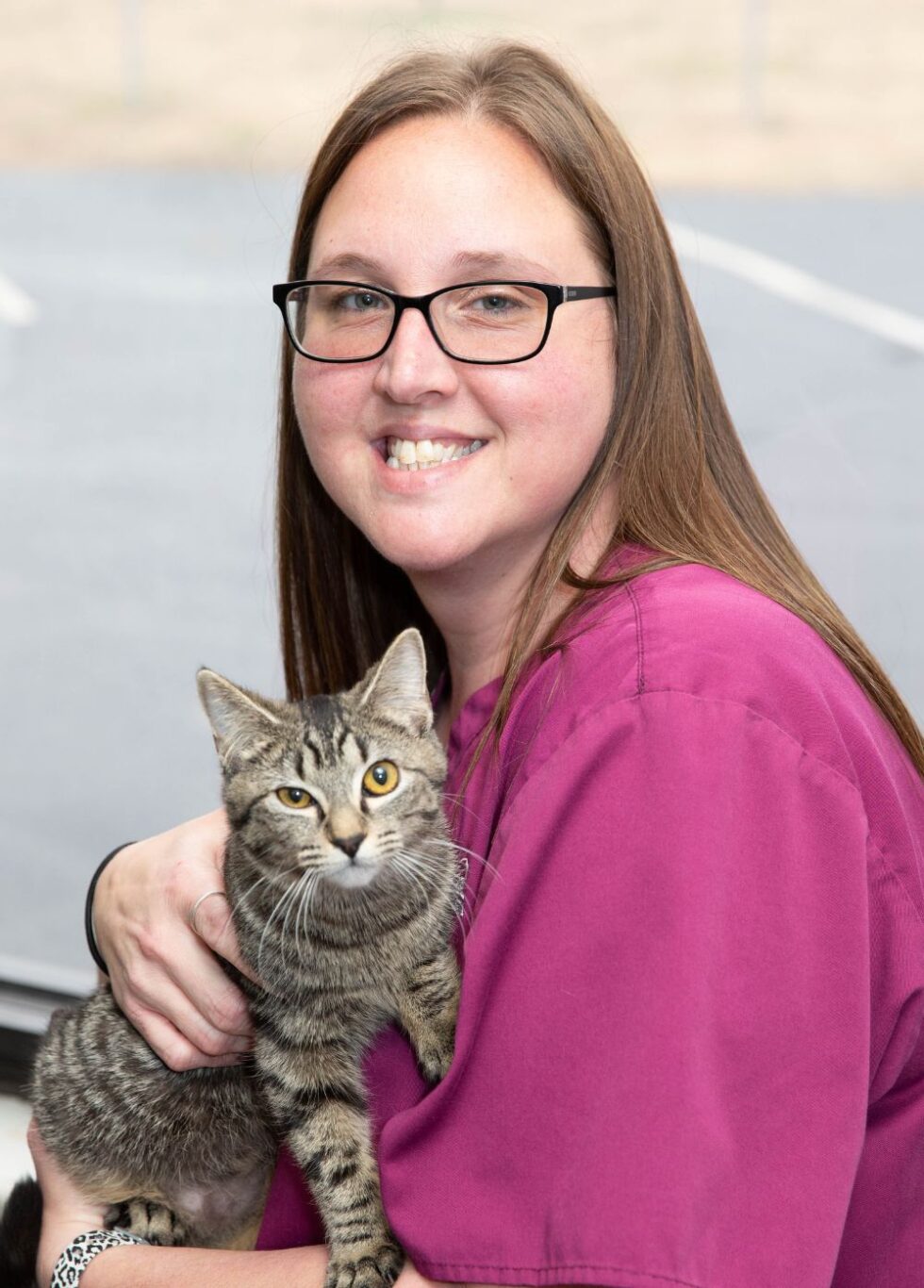 Veterinarian In Seneca, SC 29678 | Seneca Animal Hospital