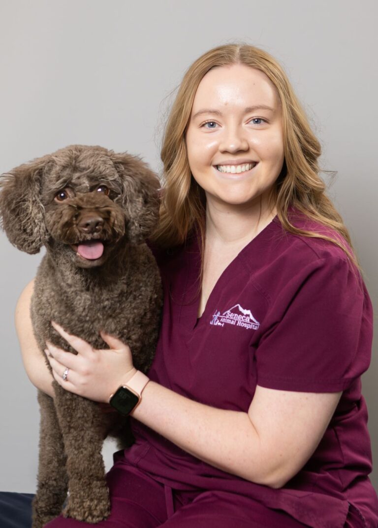 Veterinarian In Seneca, SC 29678 | Seneca Animal Hospital